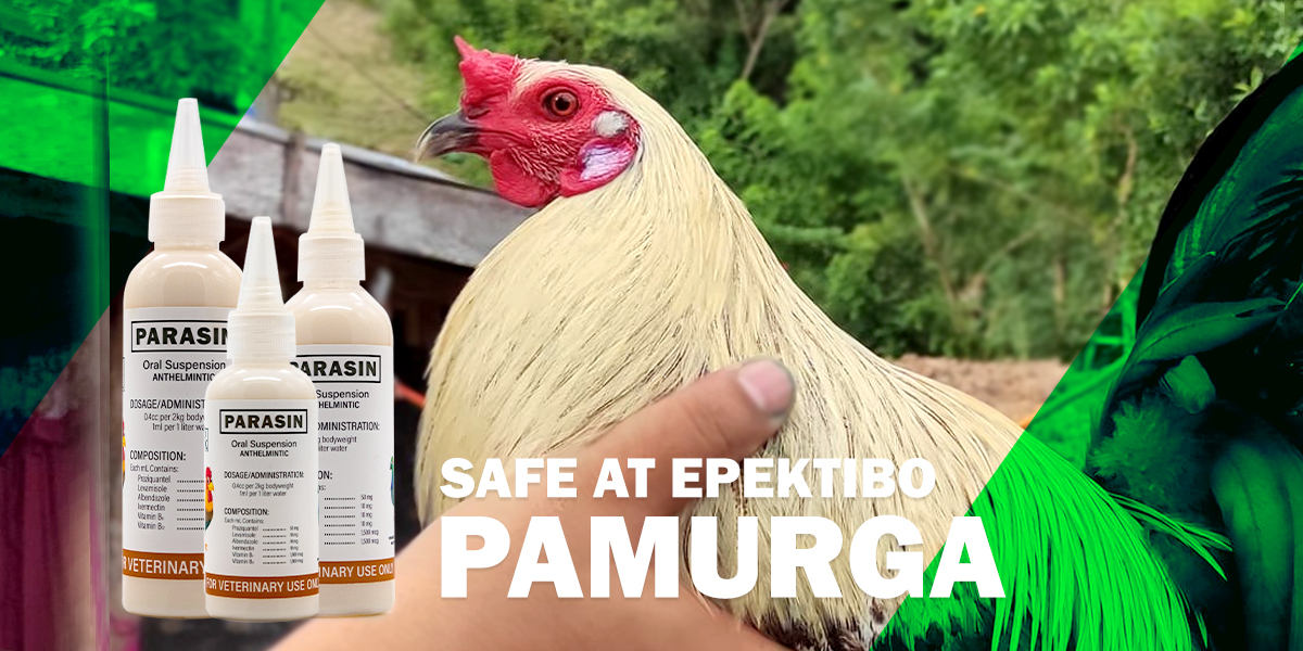 MICOSIN SUPPLY, Online Shop | Shopee Philippines