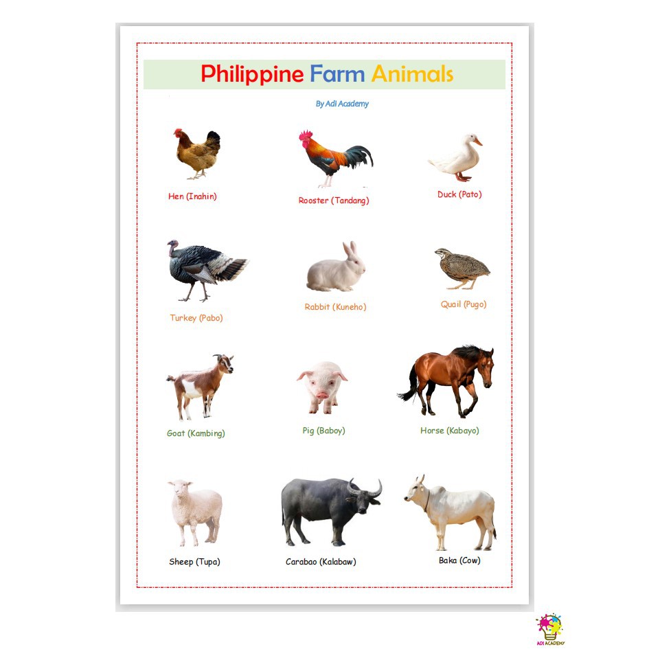 Real Farm Animals Pictures Chart