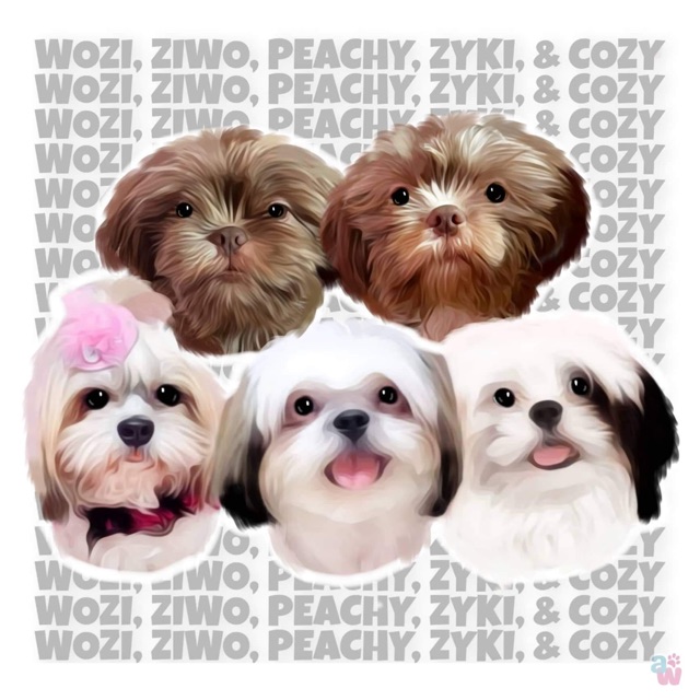 Kyle and Paws, Online Shop | Shopee Philippines