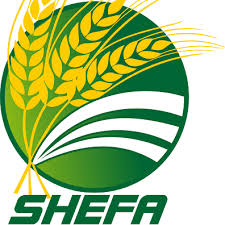 SHEFA Industrial Products Inc, Online Shop | Shopee Philippines