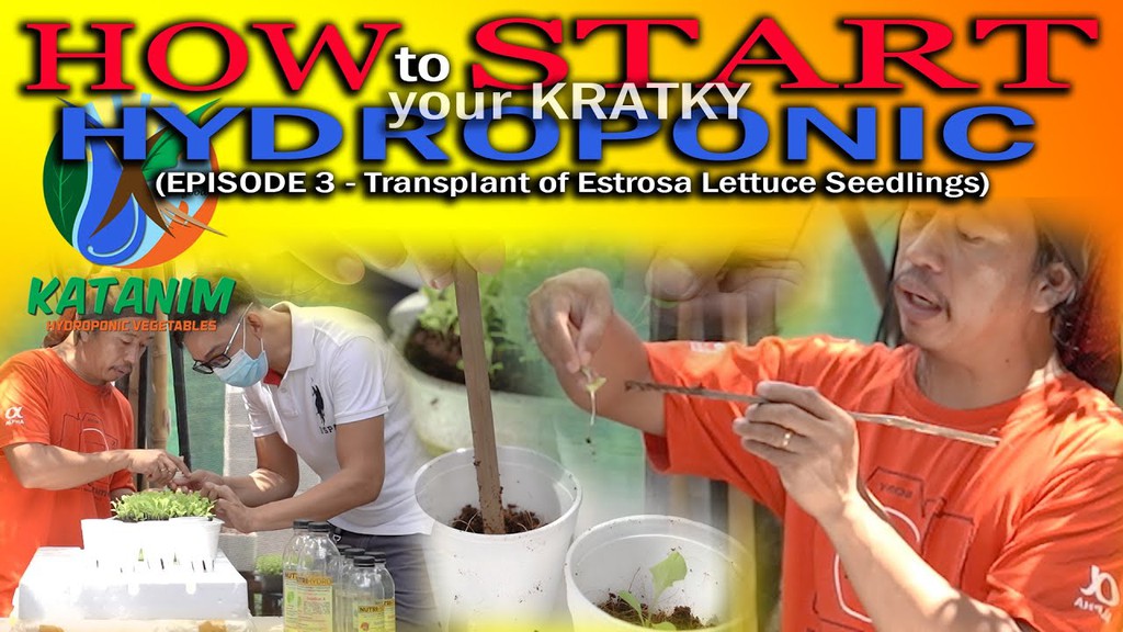 Katanim Store, Online Shop | Shopee Philippines