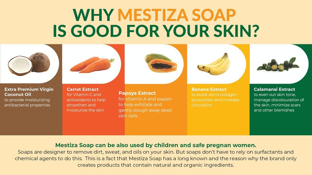 MESTIZA PHILIPPINES, Online Shop | Shopee Philippines