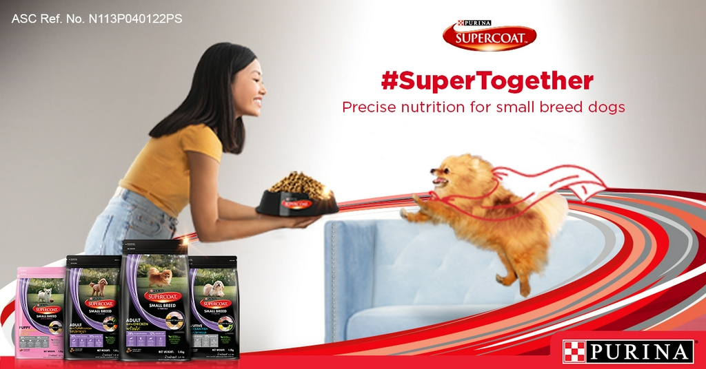 PURINA OFFICIAL STORE, Online Shop | Shopee Philippines