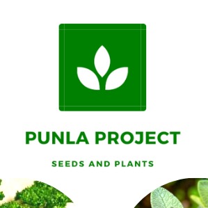 Punla Project J&A Barcelon, Online Shop | Shopee Philippines