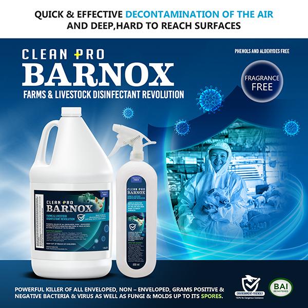 Nudehandmadeessentials, Online Shop | Shopee Philippines