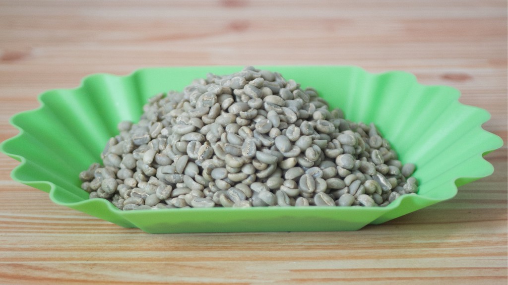 frankenroaster, Online Shop | Shopee Philippines