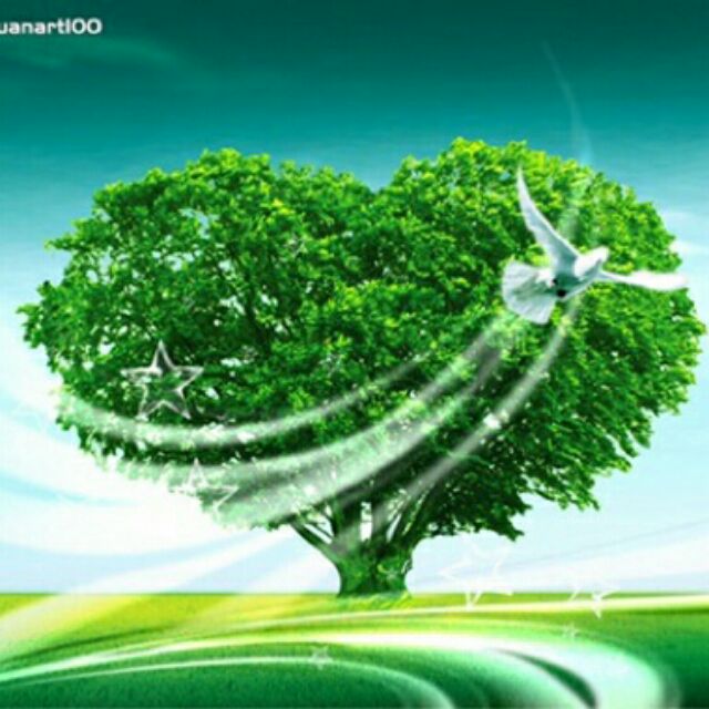 wmh.ph, Online Shop | Shopee Philippines