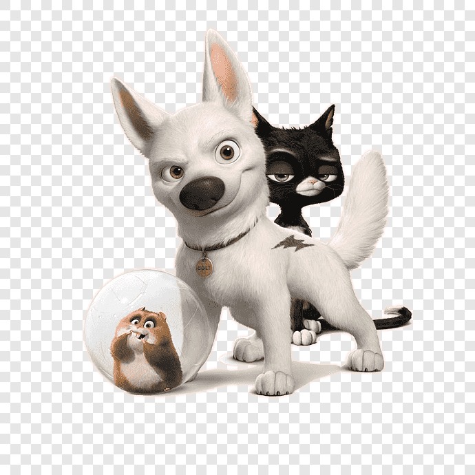 suzukikiixl.ph, Online Shop | Shopee Philippines