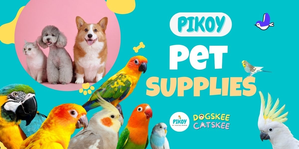 PIKOY by Munting Ibunan, Online Shop | Shopee Philippines