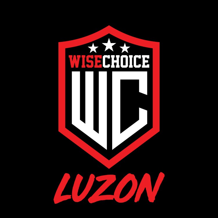 Wisechoice Supplements Luzon, Online Shop | Shopee Philippines