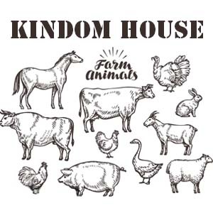 Kindom House, Online Shop | Shopee Philippines