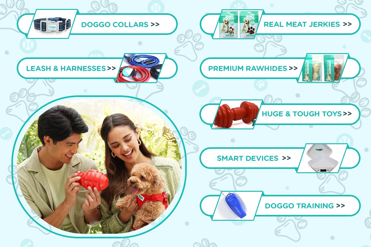 Doggo_PH, Online Shop | Shopee Philippines