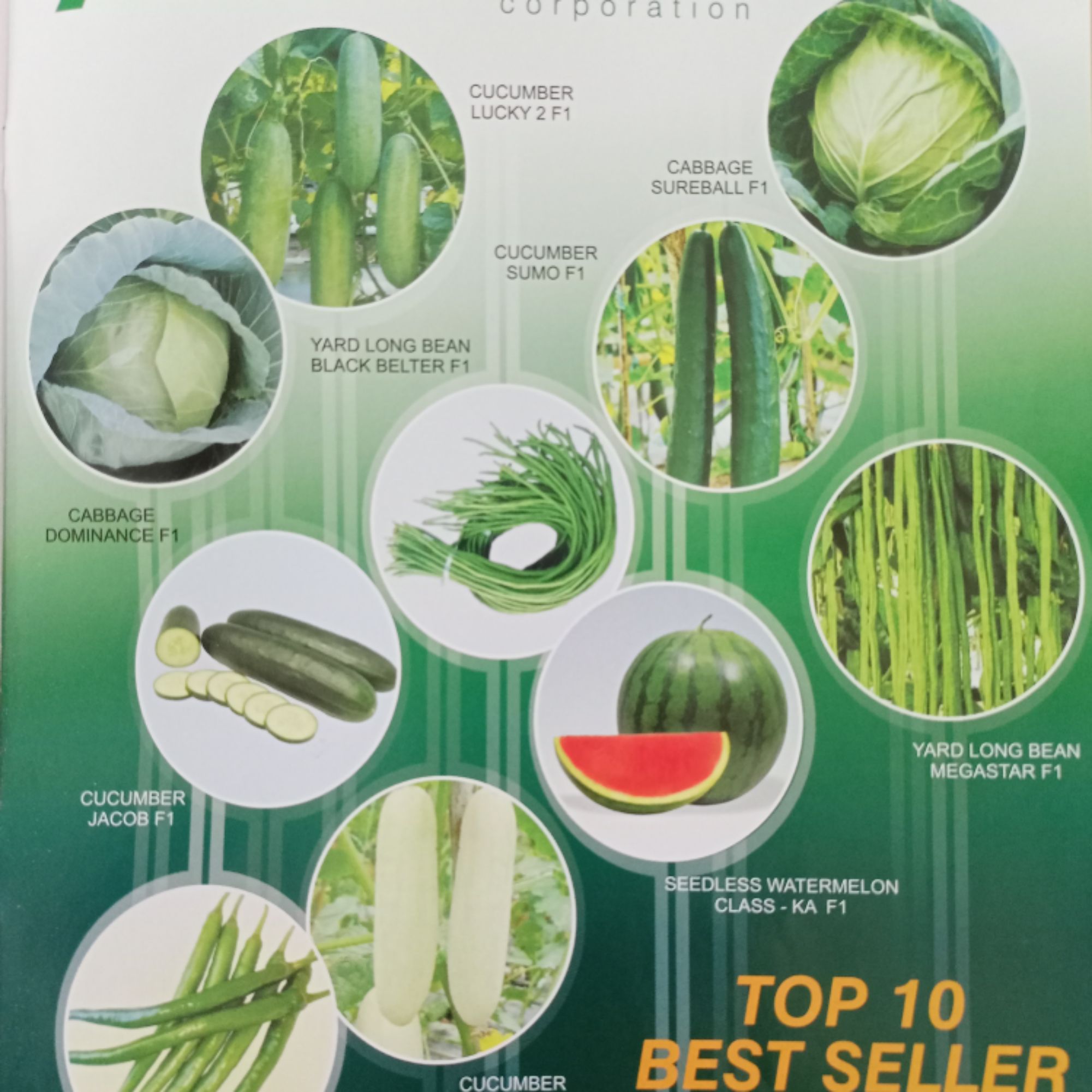 F.A. Greenseeds Corporation, Online Shop | Shopee Philippines