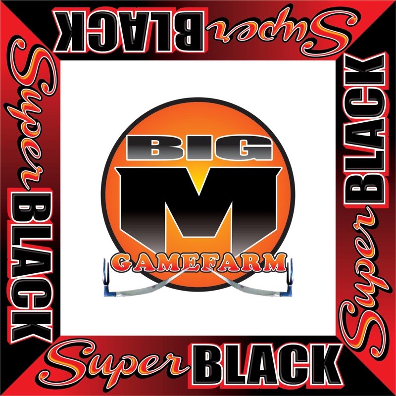 A&E Tarpaulin Services, Online Shop | Shopee Philippines