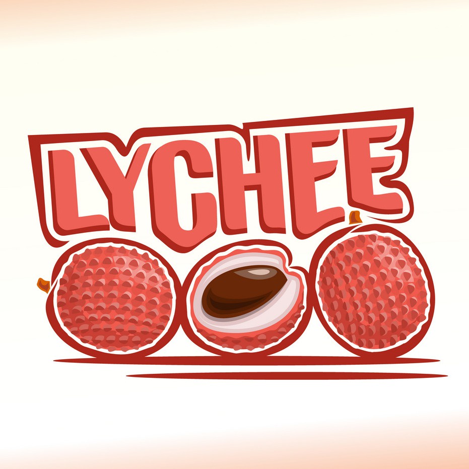 Leechi Fashion, Online Shop | Shopee Philippines