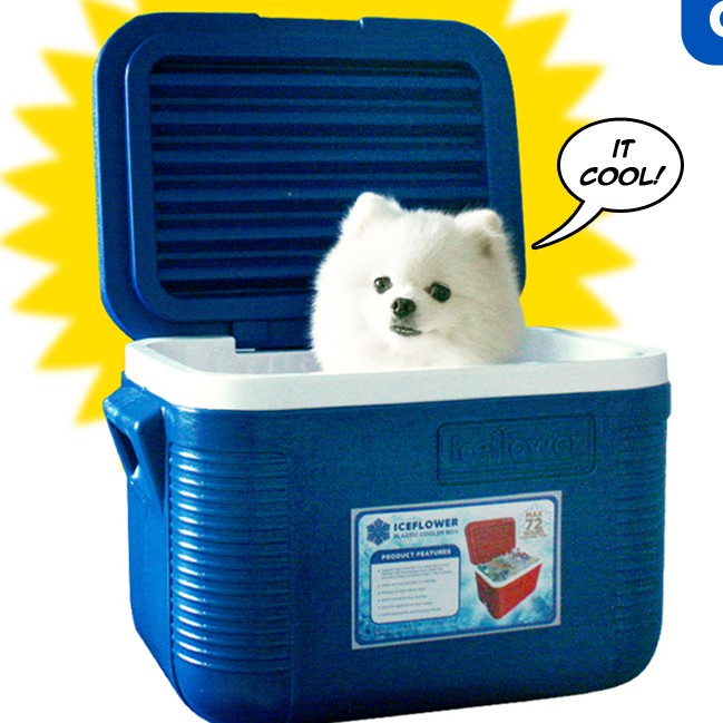 Tai Son Industrial Corporation, Online Shop | Shopee Philippines