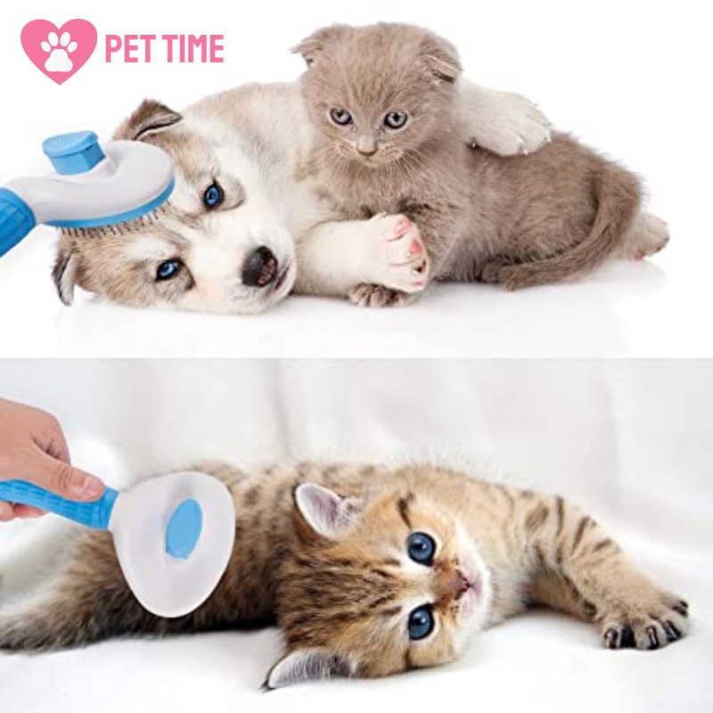 PET TIME, Online Shop | Shopee Philippines