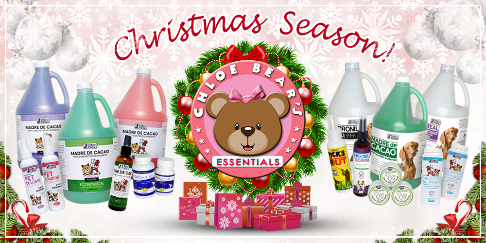 Chloe Bear, Online Shop | Shopee Philippines