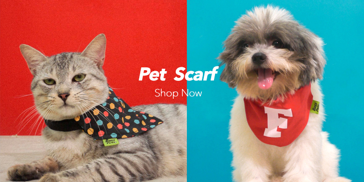 Boss Pets, Online Shop | Shopee Philippines