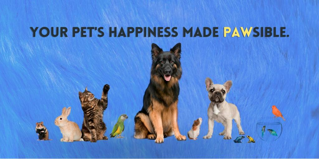 Hello Paws, Online Shop | Shopee Philippines