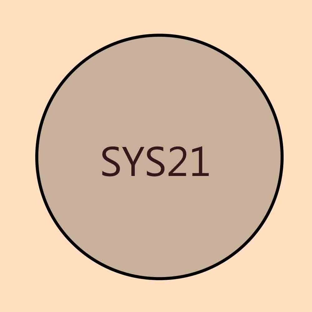 SYS21, Online Shop | Shopee Philippines