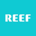 Reef Official Store, Online Shop | Shopee Philippines