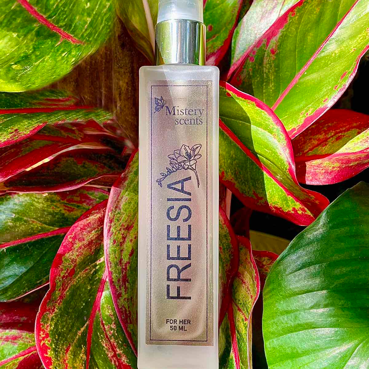 Kissagram, Online Shop | Shopee Philippines