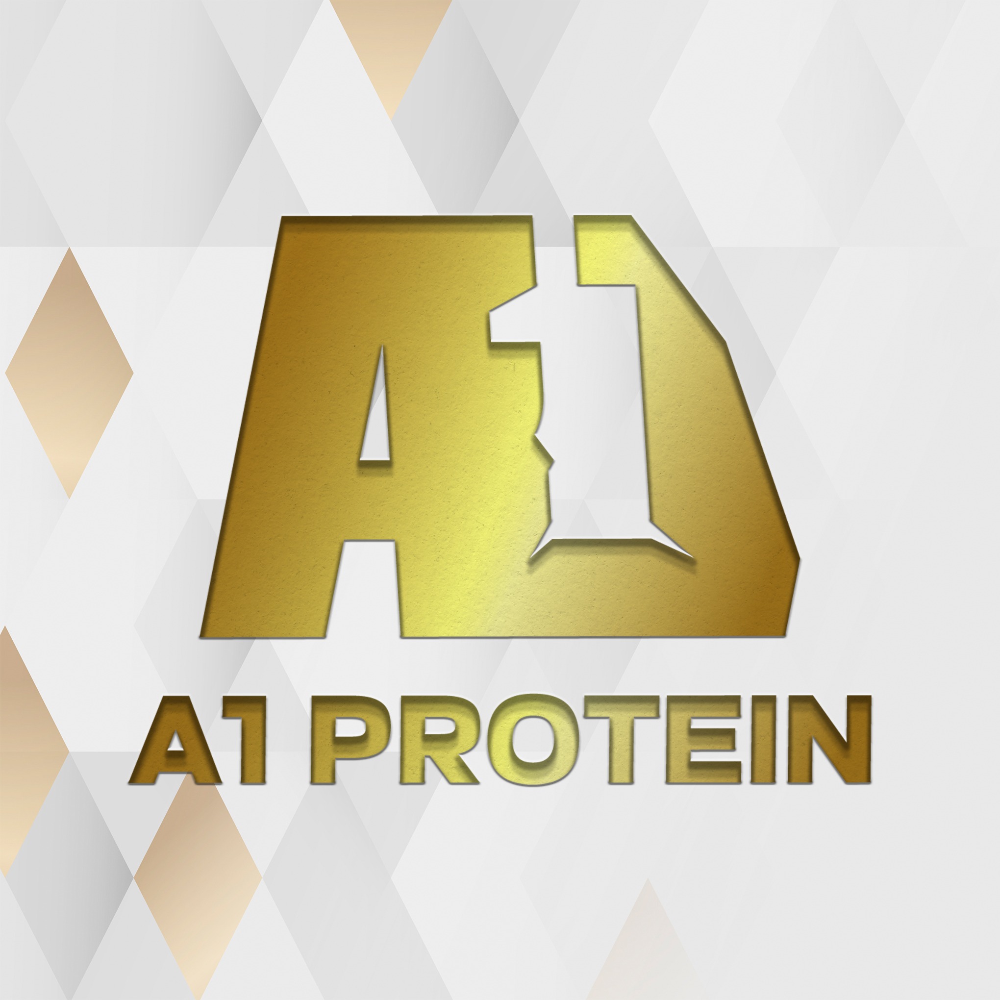 A1 PROTEIN MAIN, Online Shop | Shopee Philippines
