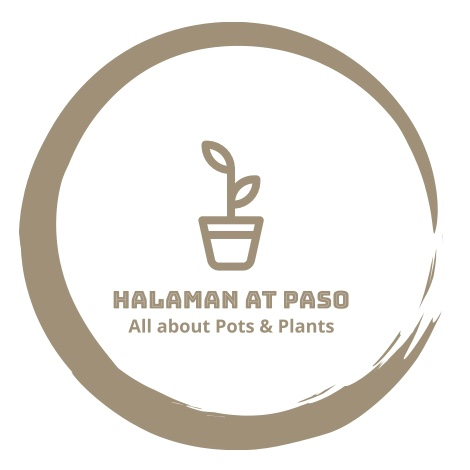 Halaman at Paso, Online Shop | Shopee Philippines