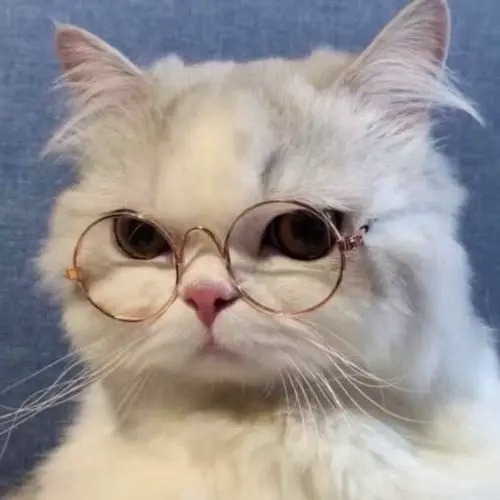 ryw_sjl7v9, Online Shop | Shopee Philippines