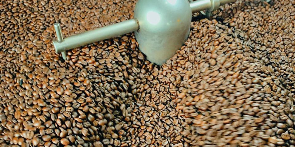 Origins MNL, Online Shop | Shopee Philippines