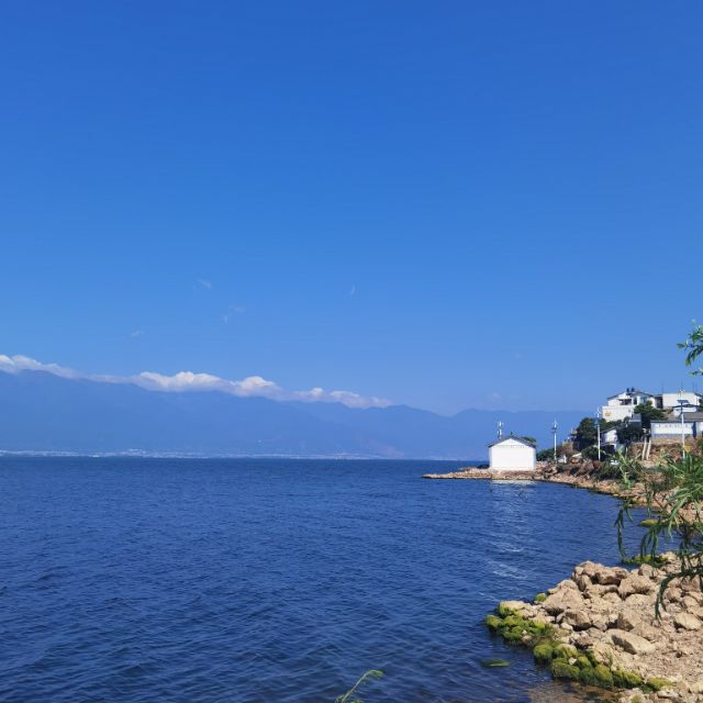 kejia.ph, Online Shop | Shopee Philippines