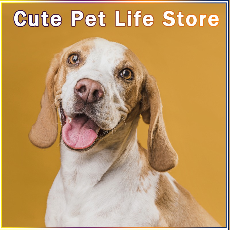 Pet Life Shop, Online Shop | Shopee Philippines
