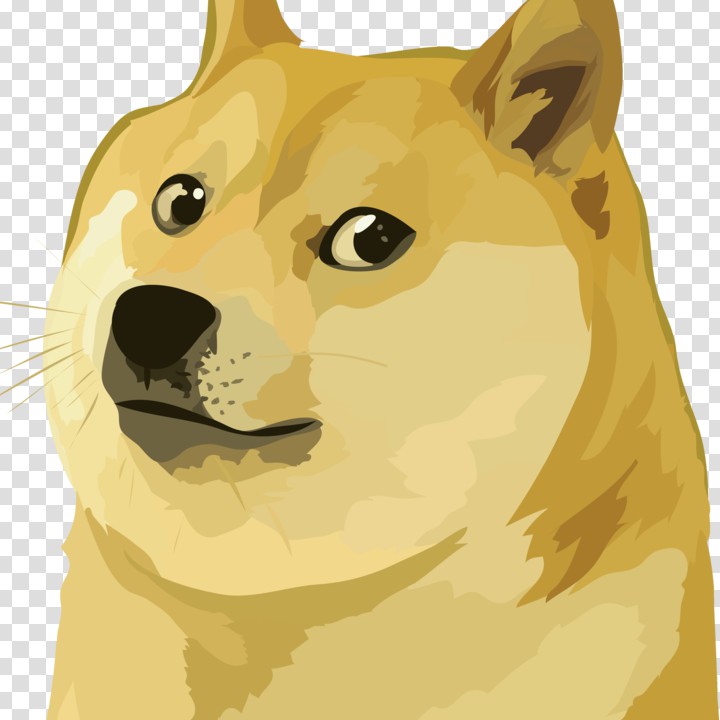 Doge 365 seller, Online Shop | Shopee Philippines