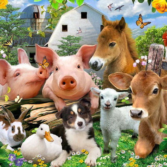 Animals Veterinary, Online Shop | Shopee Philippines