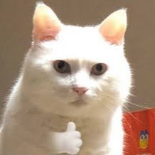 sneaky.ph, Online Shop | Shopee Philippines