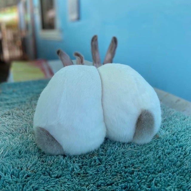 Kahoneho, Online Shop | Shopee Philippines