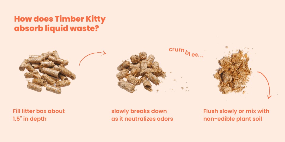 KinKo, Online Shop | Shopee Philippines