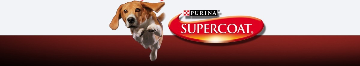 PURINA OFFICIAL STORE, Online Shop | Shopee Philippines