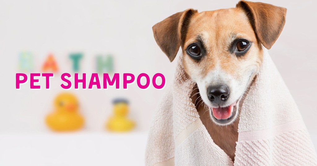 Pet One Official Store, Online Shop | Shopee Philippines