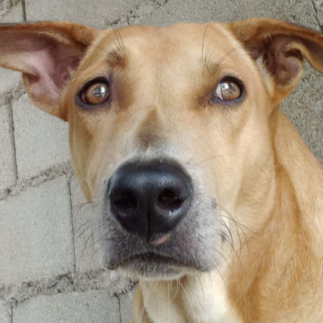 Lead_Sinker_Shop29, Online Shop | Shopee Philippines