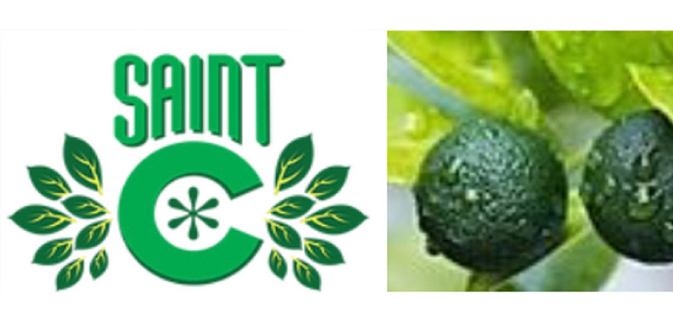 Saint C Official Store, Online Shop | Shopee Philippines