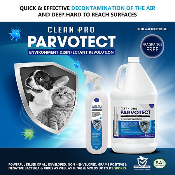 CLEANPRO, Online Shop | Shopee Philippines