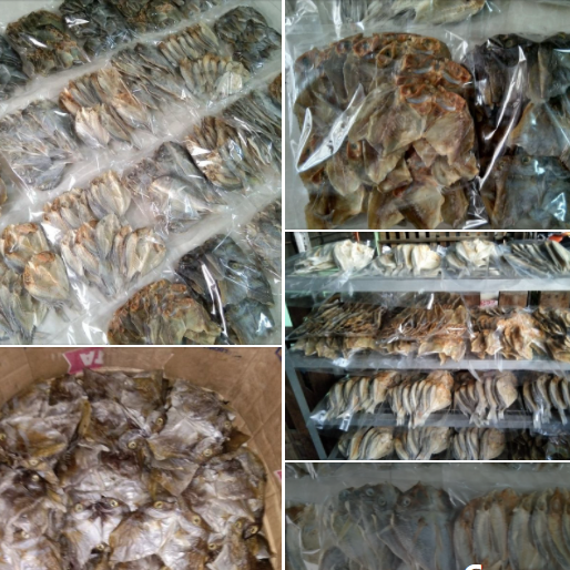 Palawan's Special Dried Fish, Online Shop | Shopee Philippines