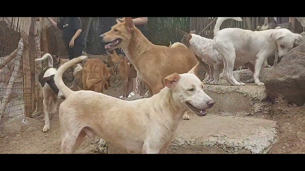 AWLove Online Store, Online Shop | Shopee Philippines