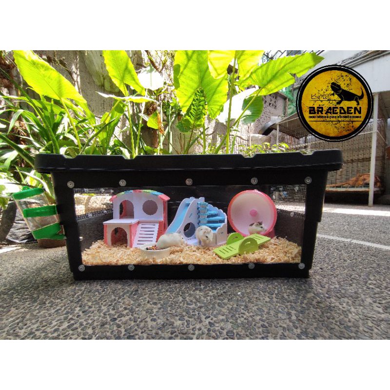 Custom Hedgehog Cage