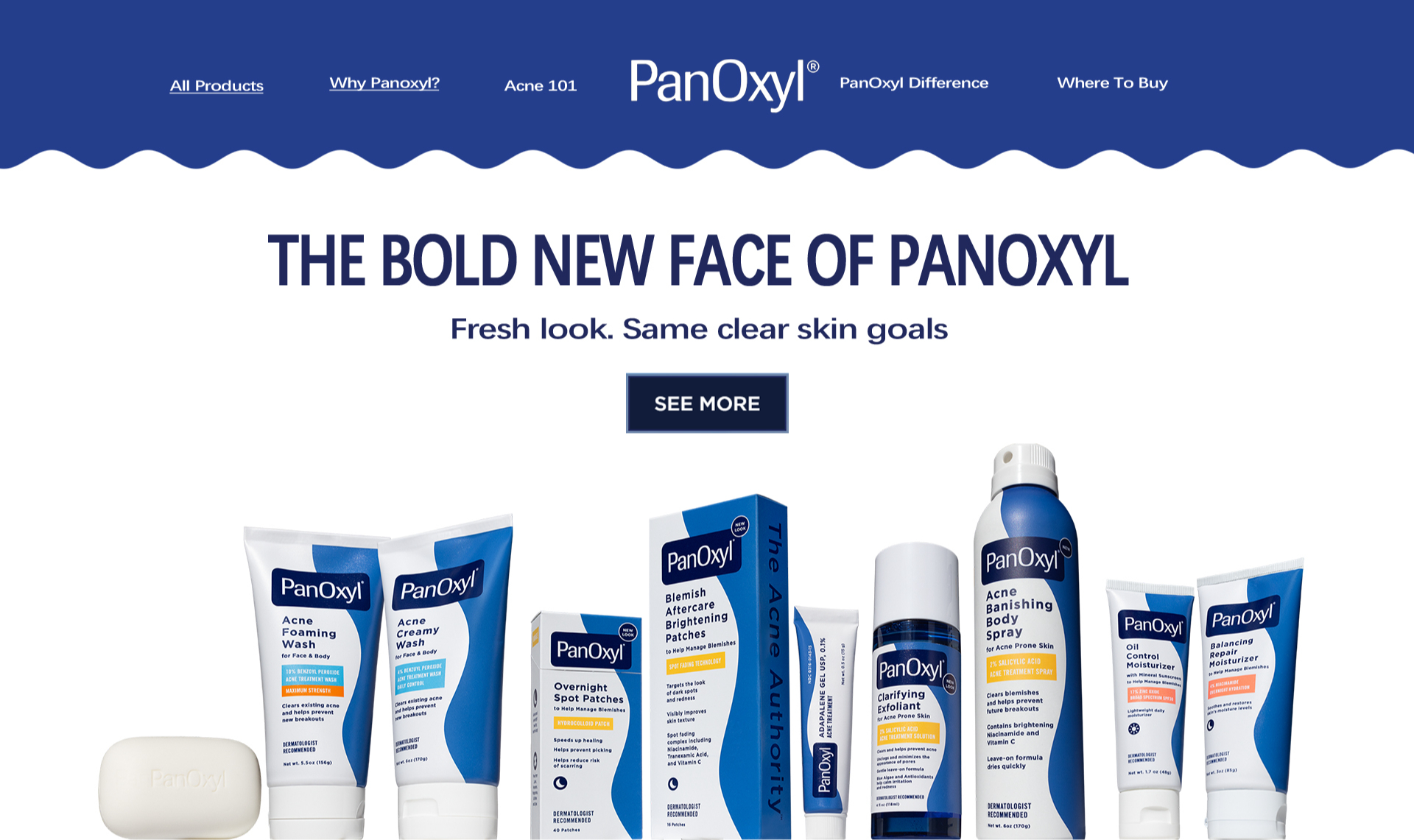 Panoxyl Store, Online Shop | Shopee Philippines
