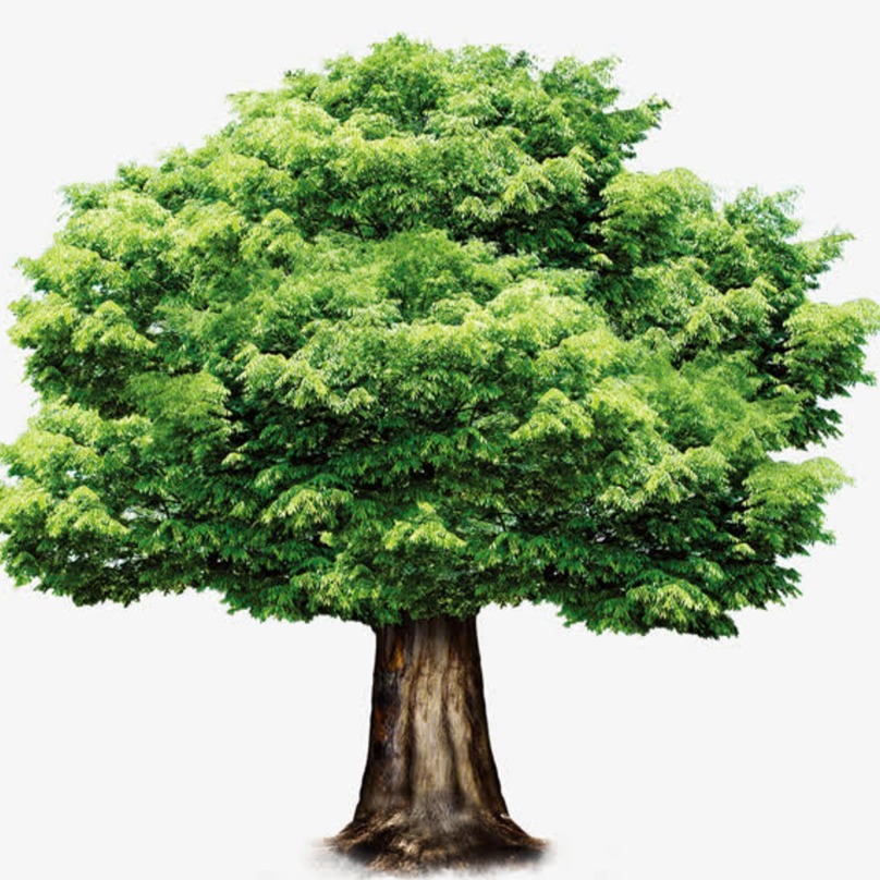 ttree.ph, Online Shop | Shopee Philippines