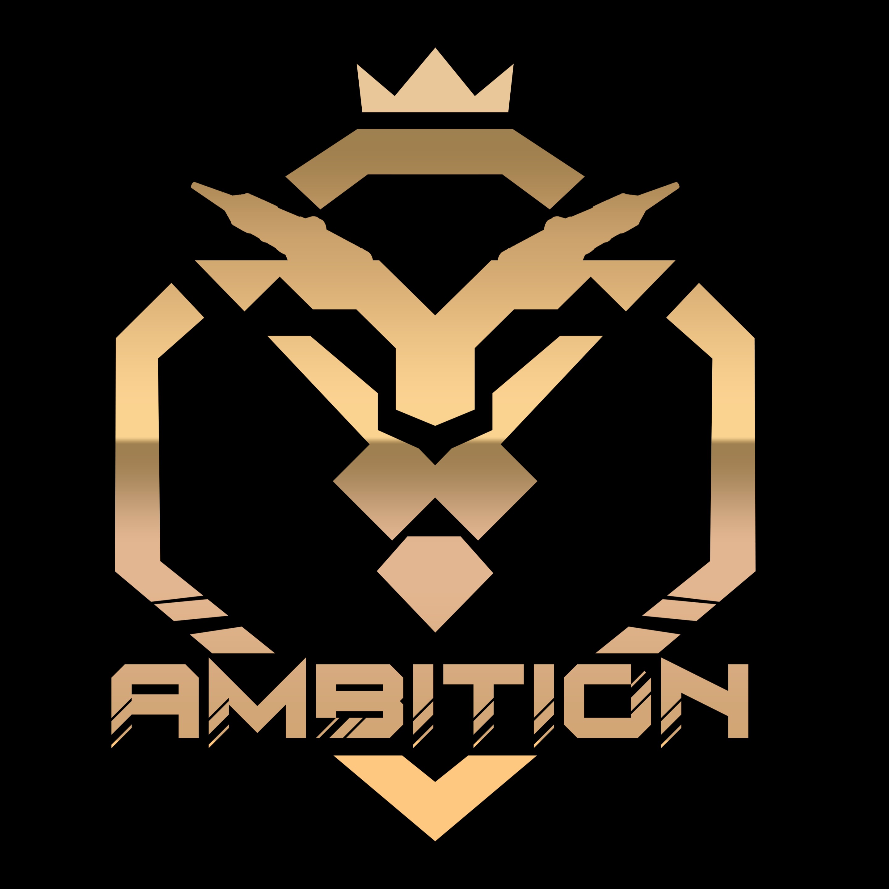 Ambition Tattoo Equipment, Online Shop | Shopee Philippines