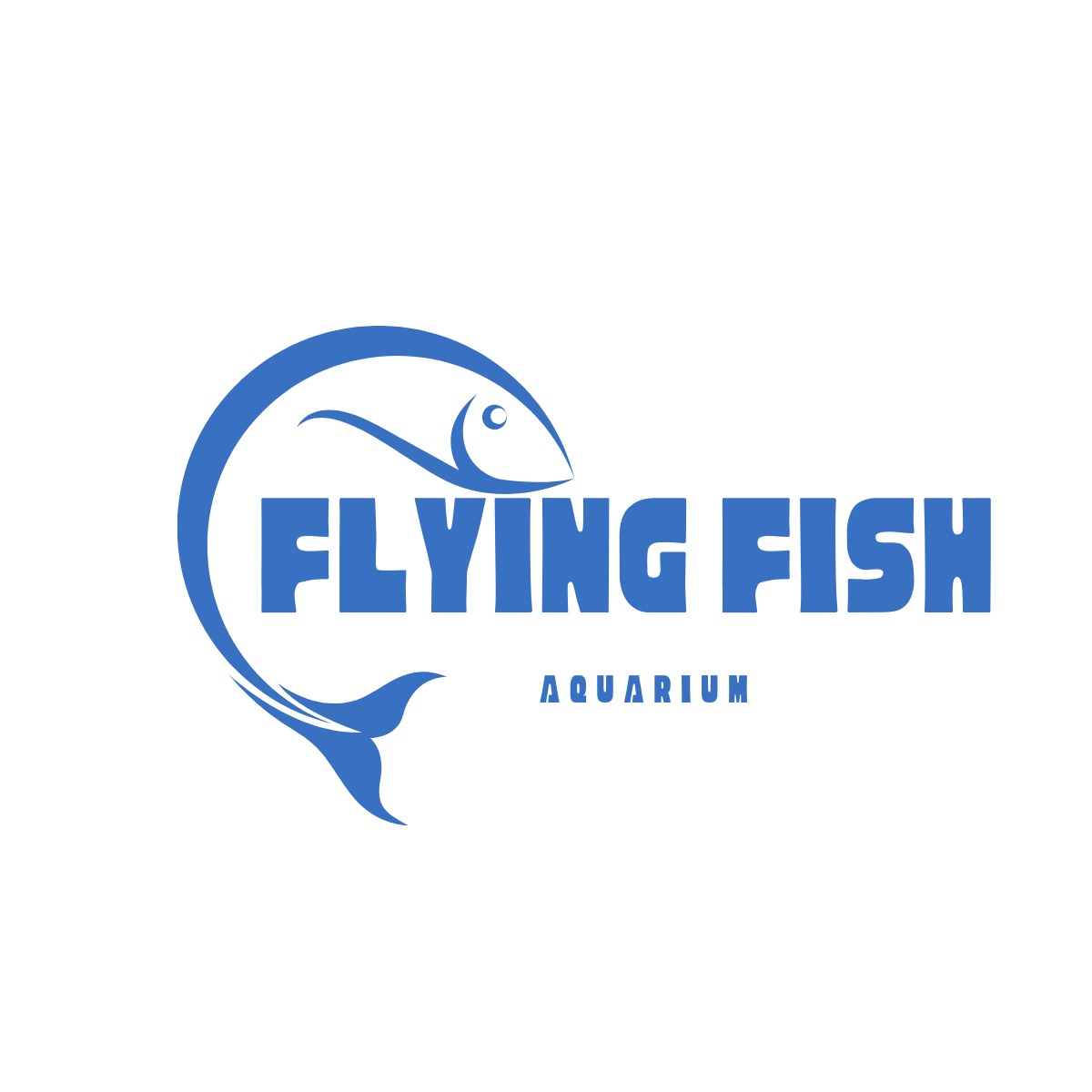 Flying Fish Aquarium, Online Shop | Shopee Philippines